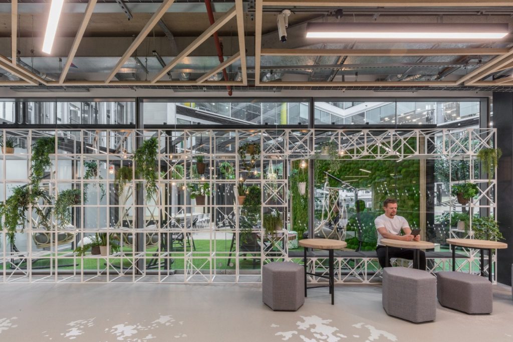 Biophilia: Bring nature into your space with moss and plants